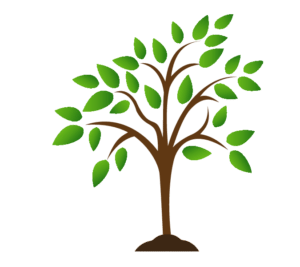 Business IT Support Nottingham - Excellent Local IT Support